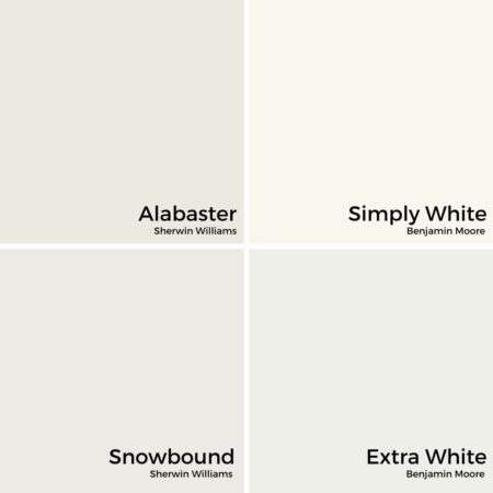 Sherwin Williams Snowbound (SW 7004)