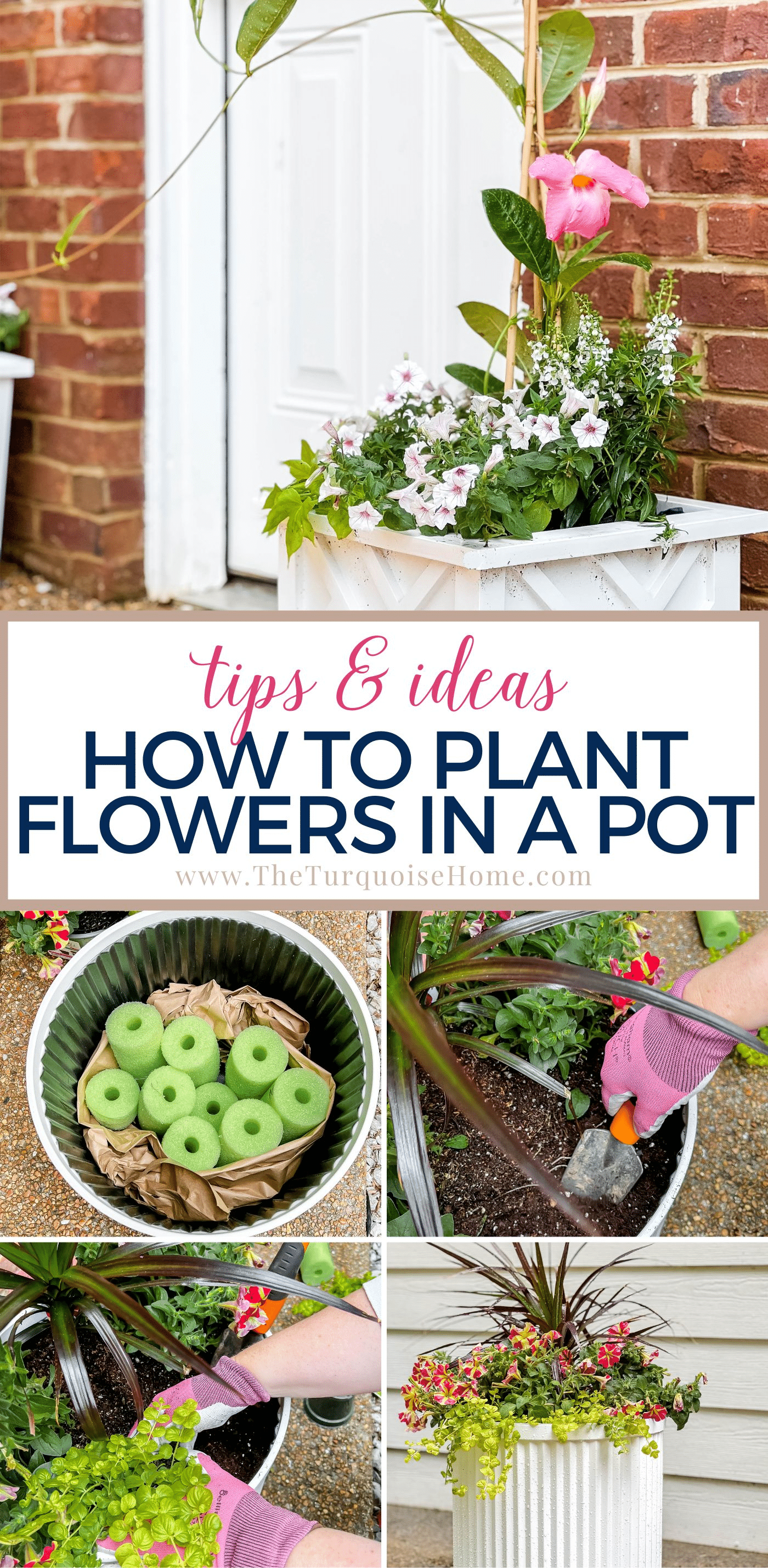 How to Plant Flowers in a Pot, Planter or Container