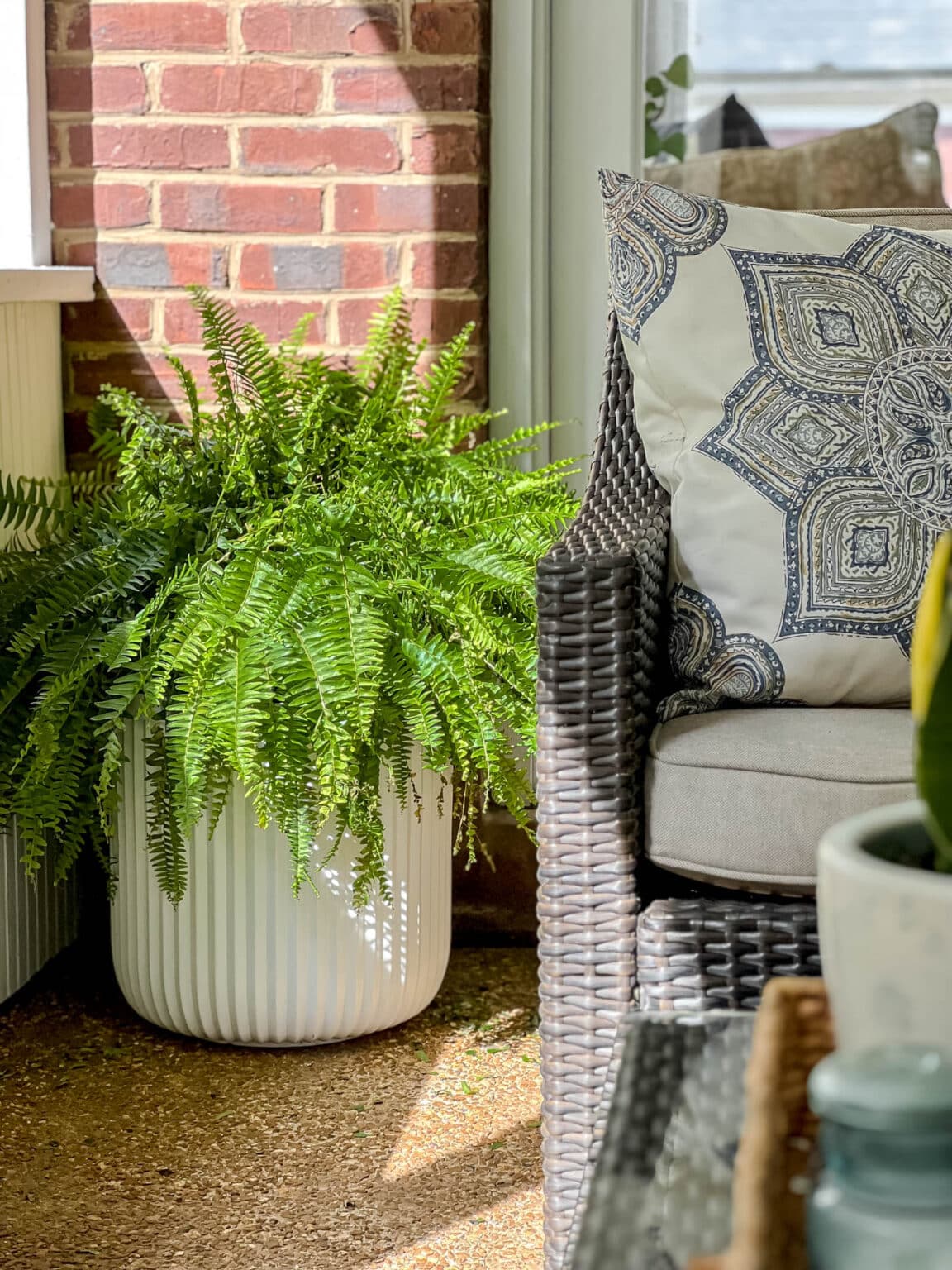 How to Plant Flowers in a Pot, Planter or Container