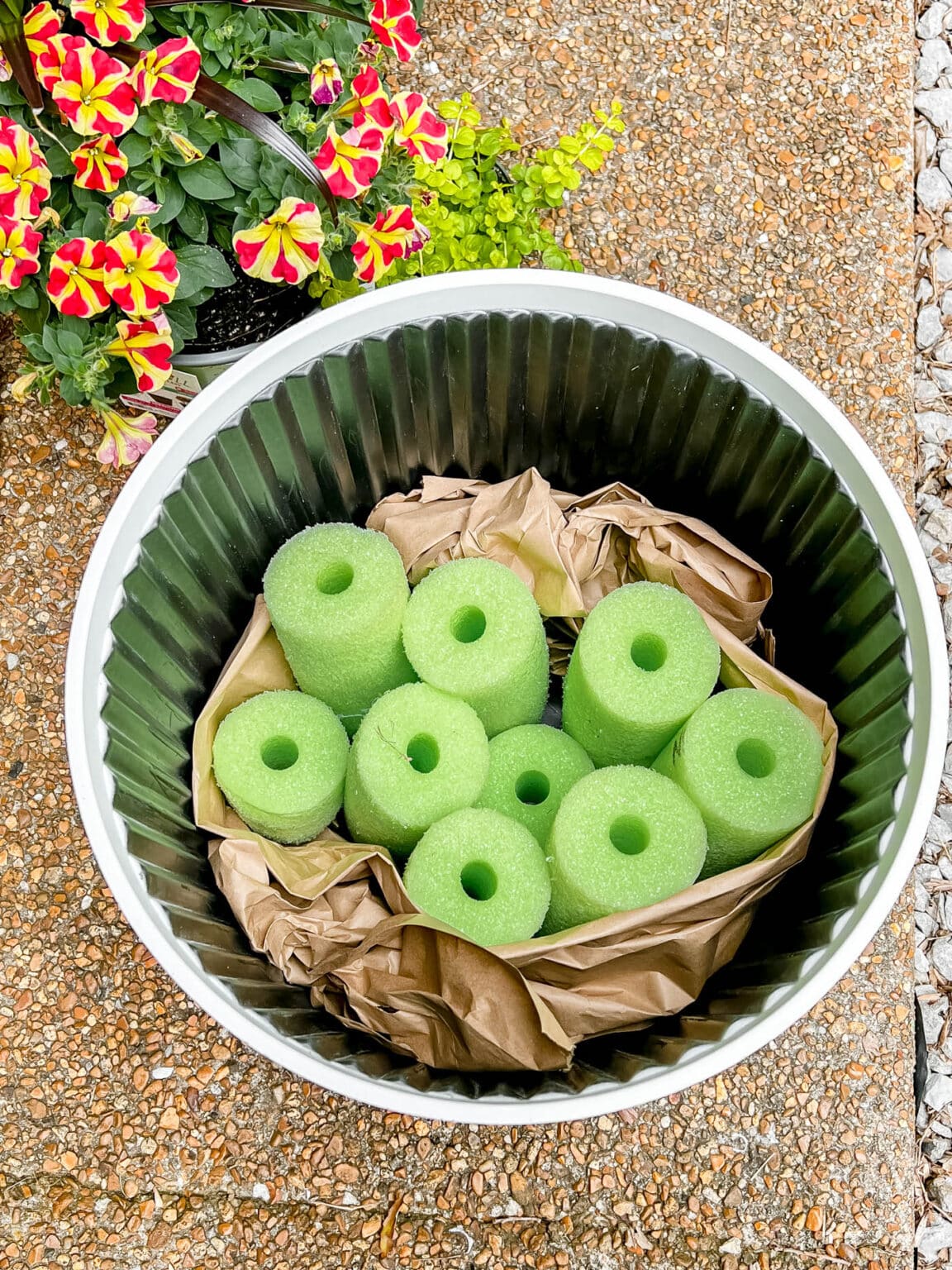 How to Plant Flowers in a Pot, Planter or Container