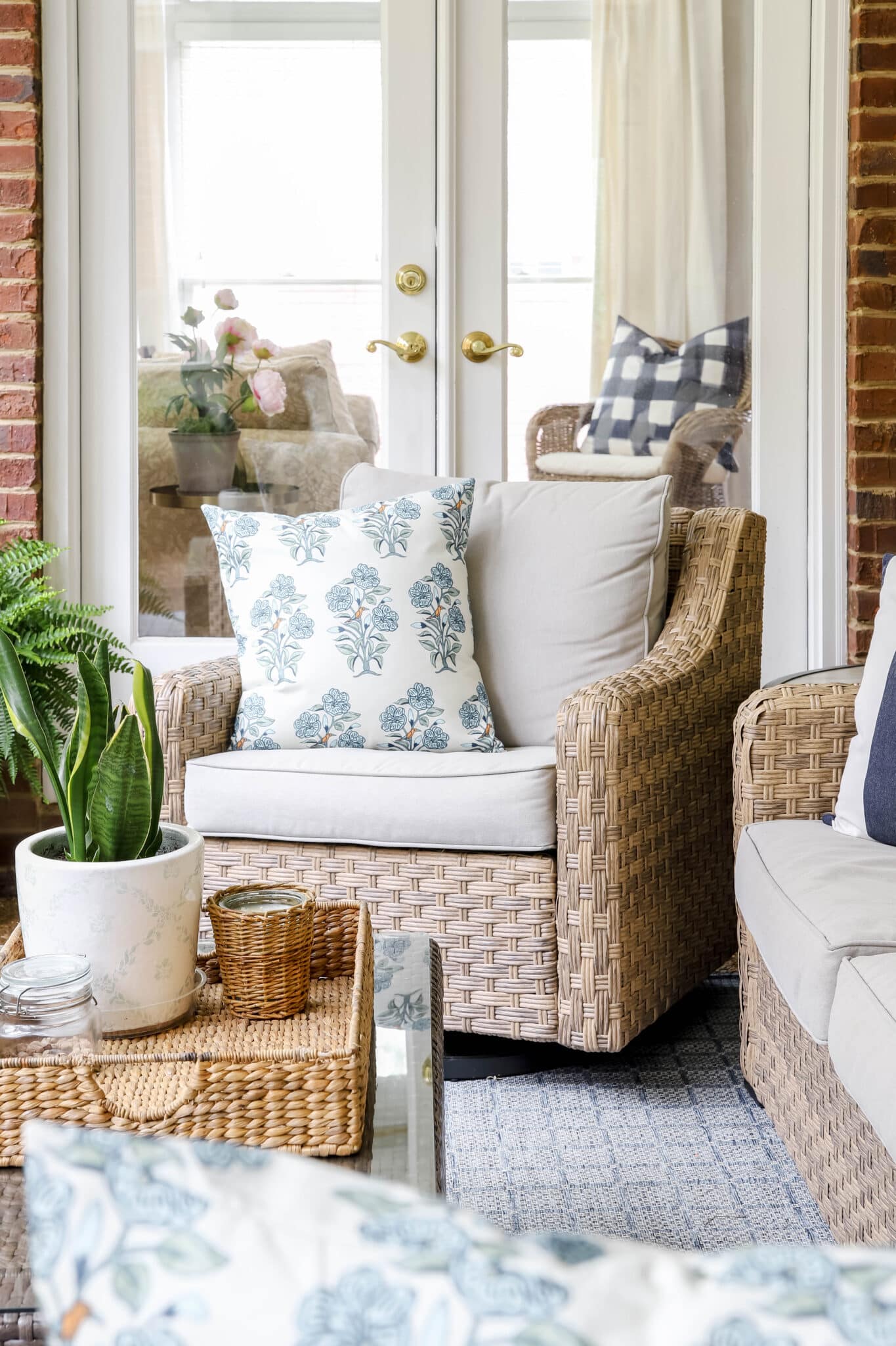 How to Grow Creeping Jenny - The Turquoise Home