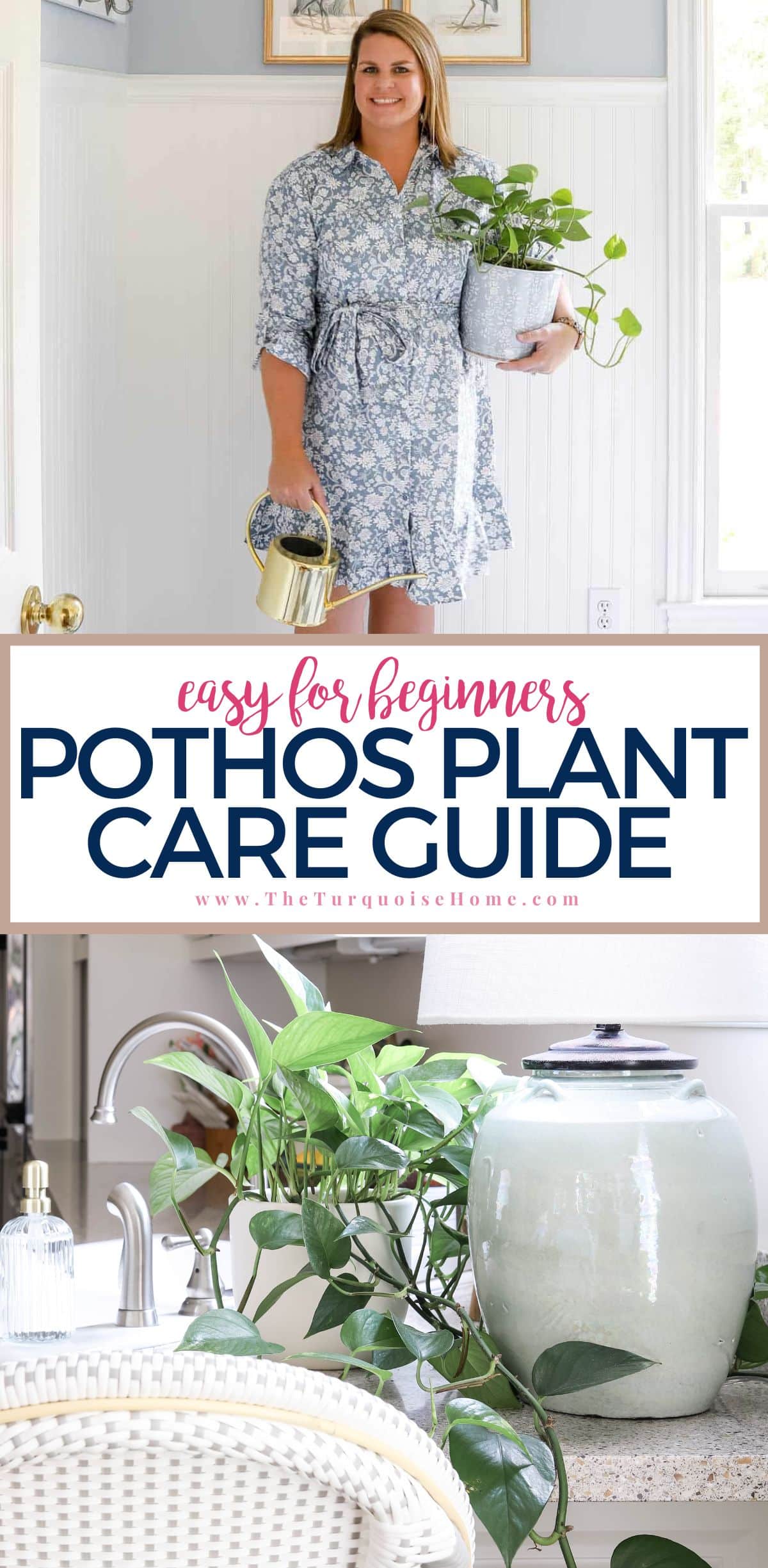 Pothos Plant Care Guide - The Turquoise Home